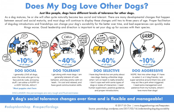4 Mistakes You Might Be Making that Encourages Anti-Social Behaviour in ...