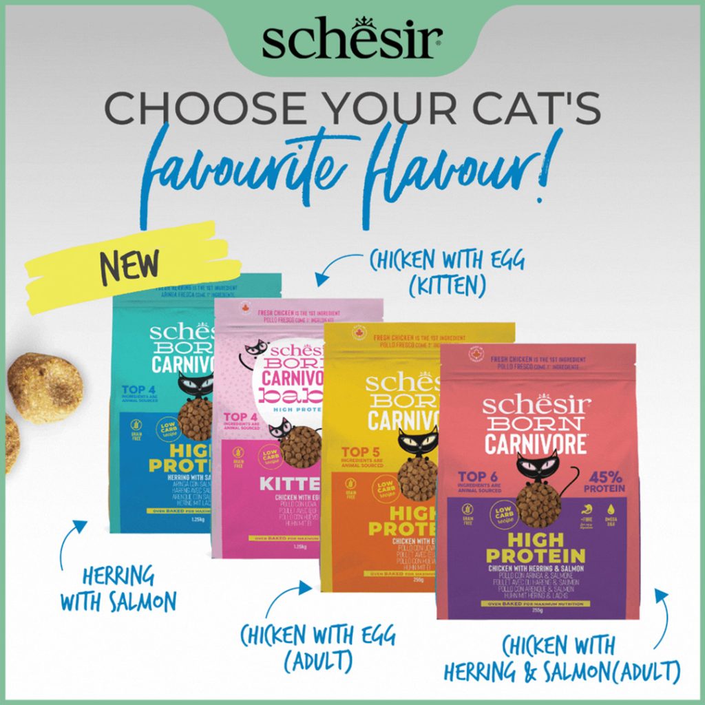Schesir Born Carnivore Cat Baked Dry Recipe (Trial) | Silversky Pets